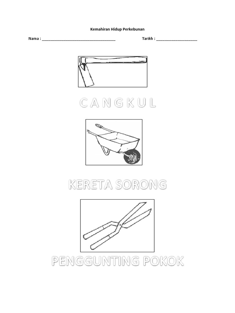 Kemahiran Hidup Perkebunan Mewarna 3 Alatan Asas Kebun | PDF