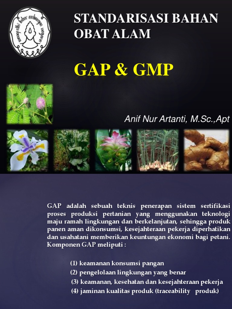 Gap & GMP | PDF