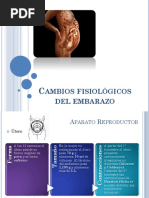 Signo de Piscacek y Cambios en el Embarazo | PDF | Útero | El embarazo