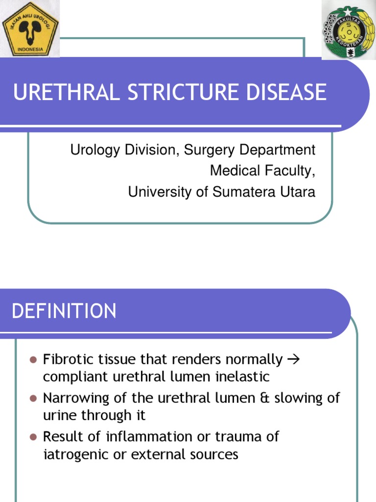 K11-Urethral Stricture Disease | PDF | Urinary System | Surgical ...