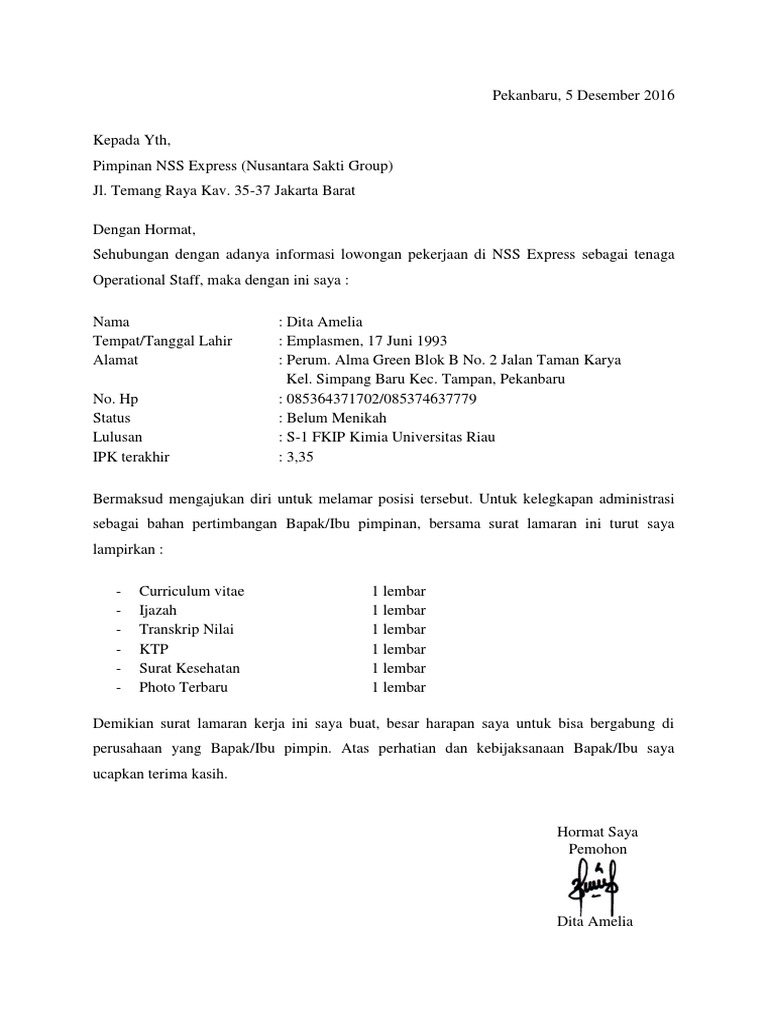 CV Dita Amelia | PDF