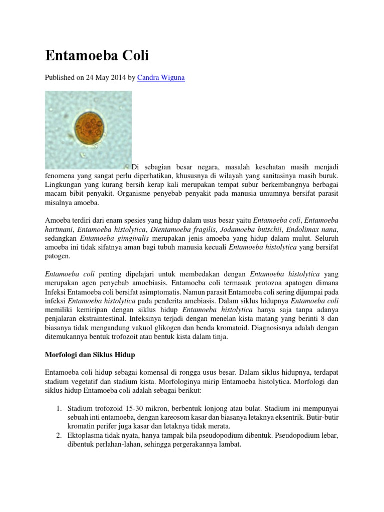 Morfologi dan Siklus Hidup Entamoeba Coli | PDF | Sains & Matematika