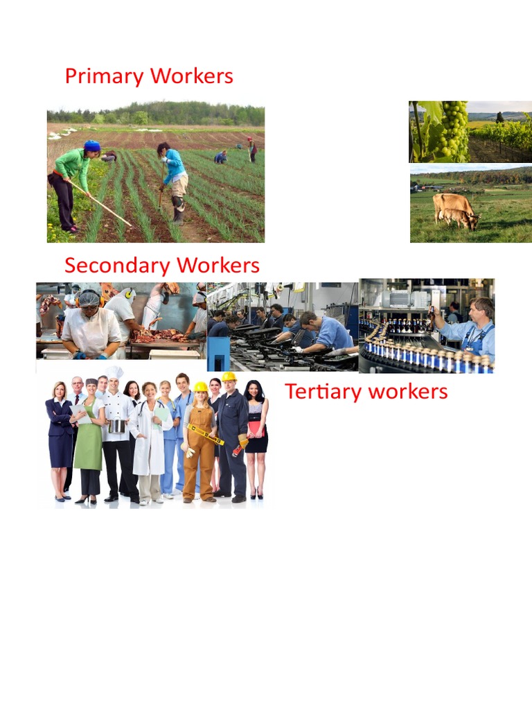 PST Workers | PDF