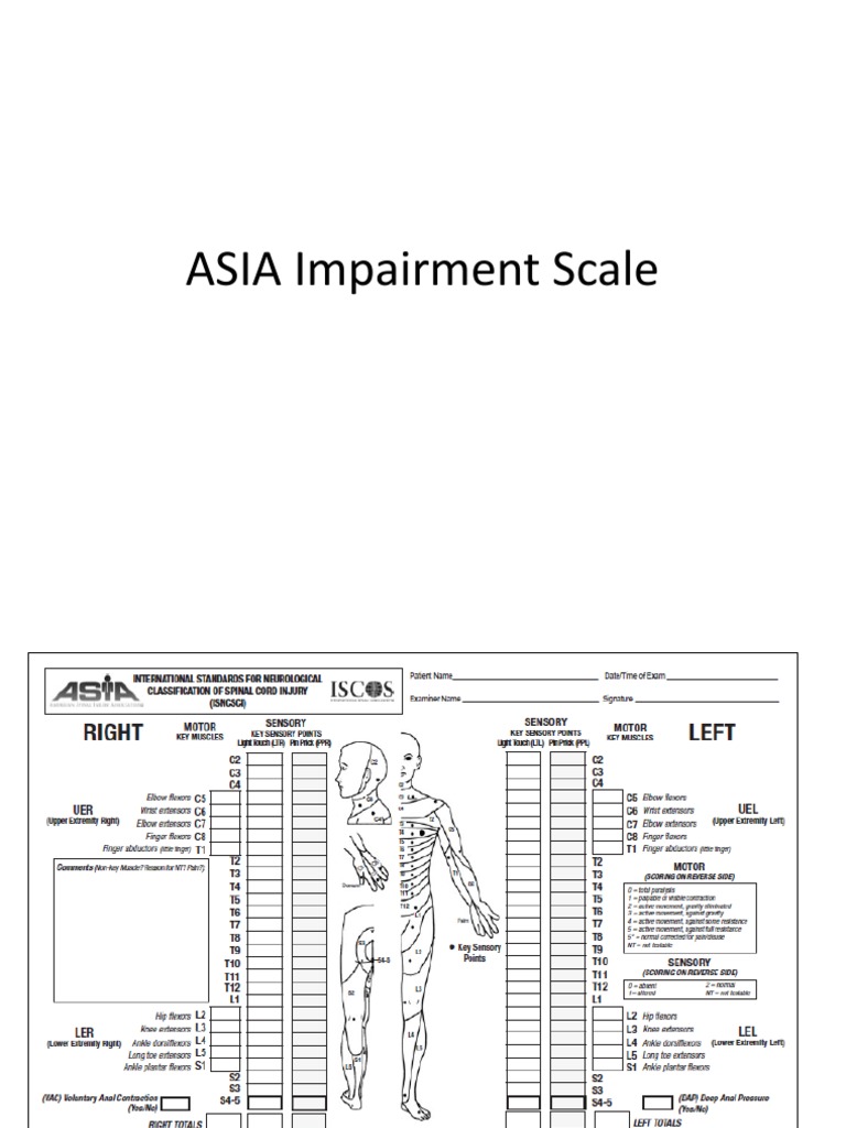 ASIA Impairment Scale | Spinal Cord | Pain