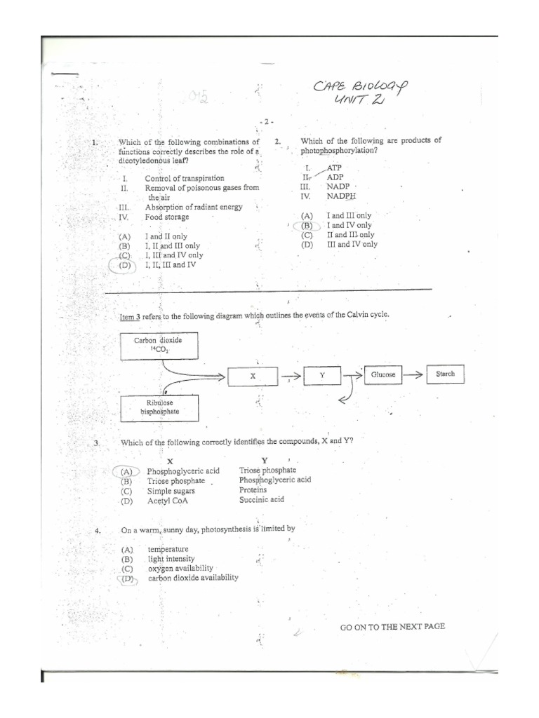 Cape Biology Unit 2 Paper 1 | PDF