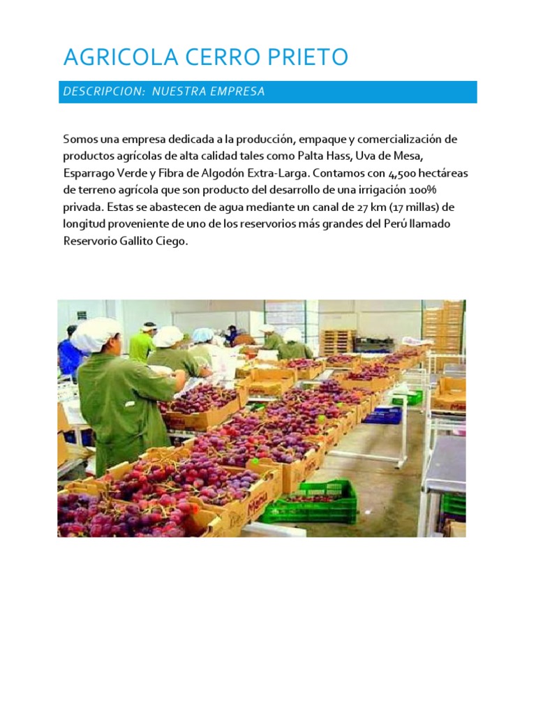 Agricola Cerro Prieto | PDF | Perú | Inversiones