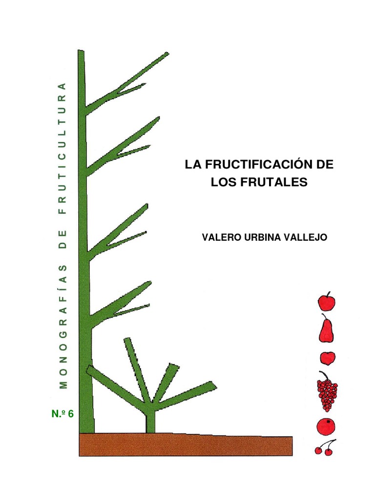 Fructificacion de Frutales | Flores | Tallo de la planta