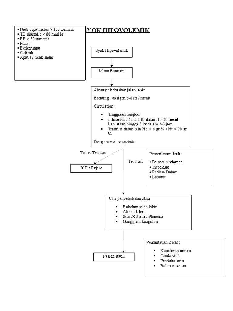 Bagan Alir Partus Macet | PDF