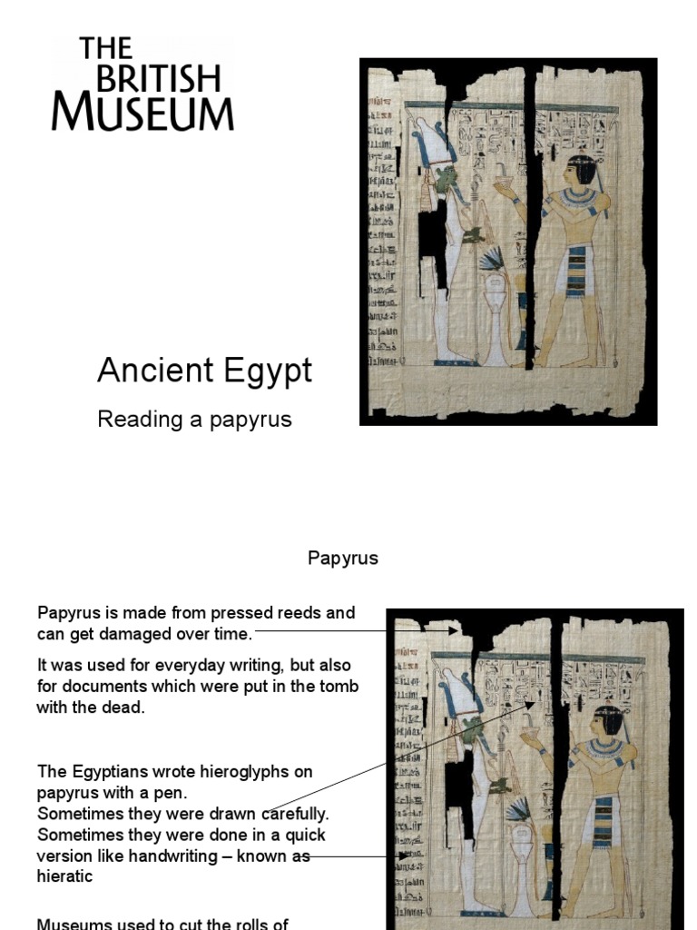 Ancient Egyptian Papyrus Insights | PDF | Papyrus | Ancient Egyptian ...
