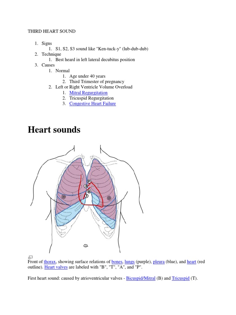 Heart Sounds: Mitral Regurgitation Congestive Heart Failure | PDF ...
