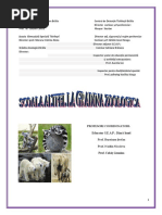 Cds-Analiza de Nevoi | PDF