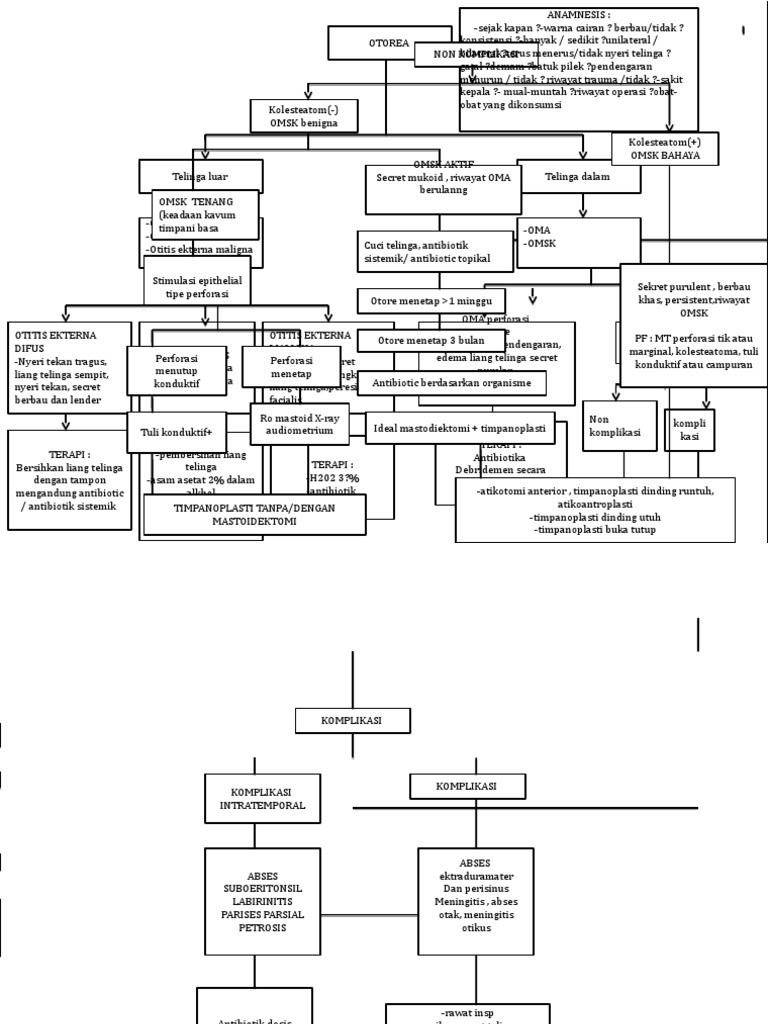 Algoritma Otorea | PDF