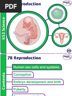 Full Maths Sba | PDF | Yellow | Color