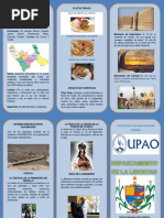 Tríptico Región Costa Ucayali | PDF | Viajes y turismo