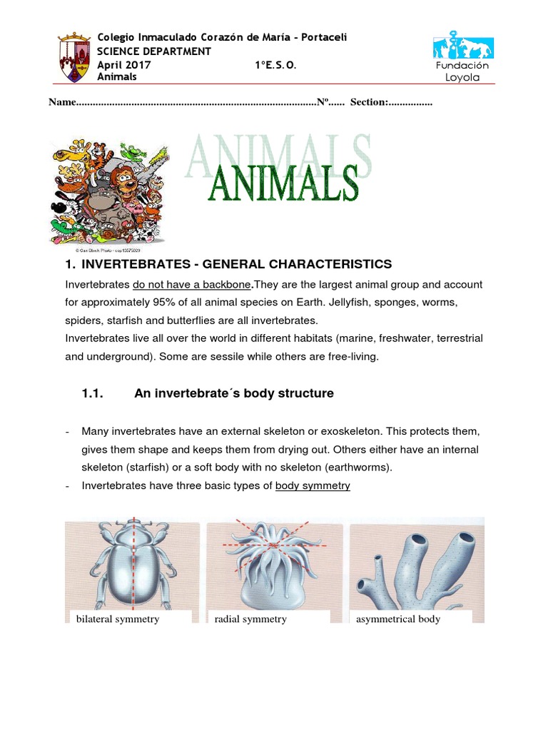Invertebrates - General Characteristics: Loyola | PDF | Invertebrate ...