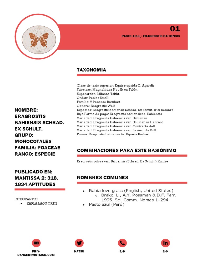 Pasto Azul | PDF | Organismos | Plantas