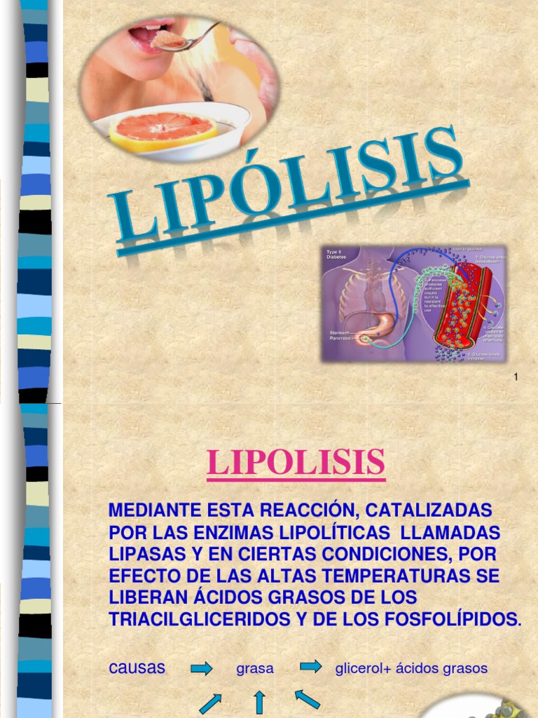 LIPOLISIS K | PDF