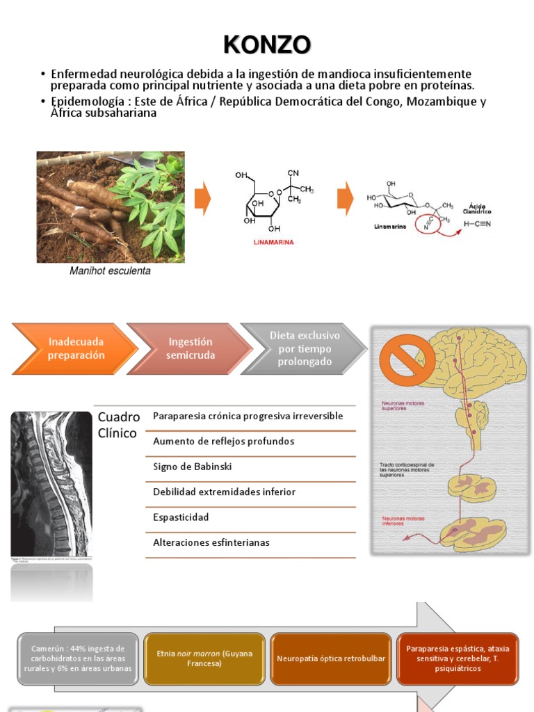 Parte 4 Konzo y Neurolatirismo | PDF | Neurología | Especialidades Medicas
