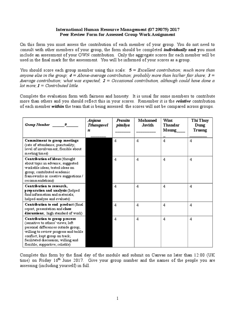 Peer Review Form For Group Work IHRM | PDF | Educational Assessment ...
