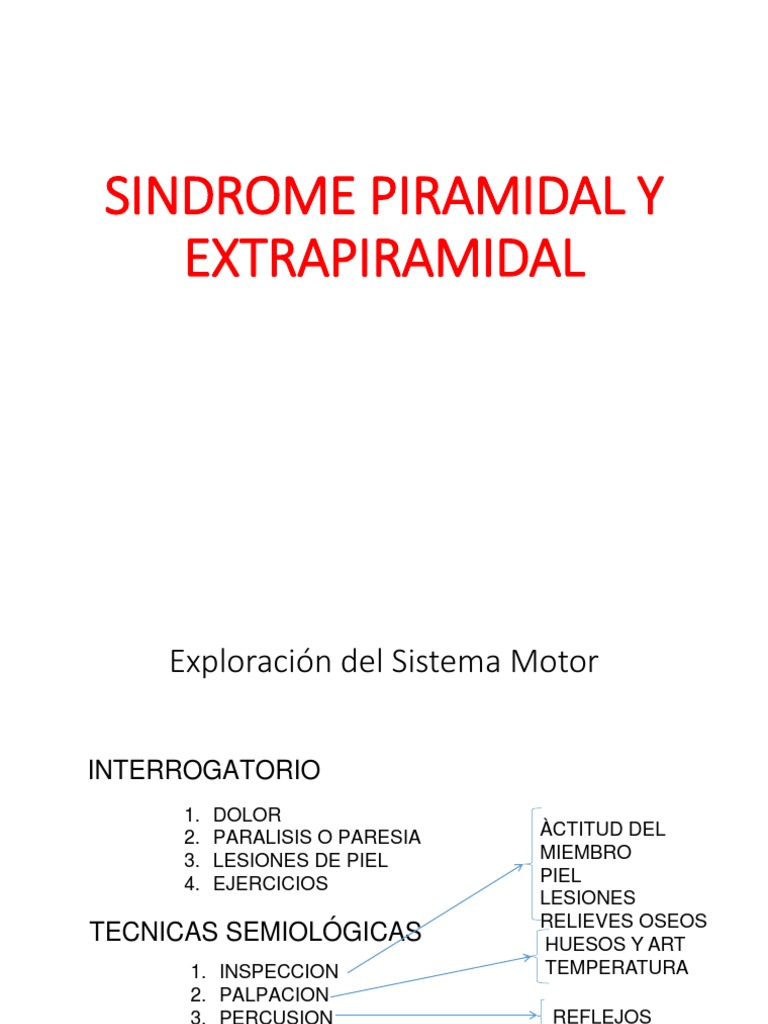 Sindrome Piramidal y Extrapiramidal Final | PDF | Ganglios basales ...