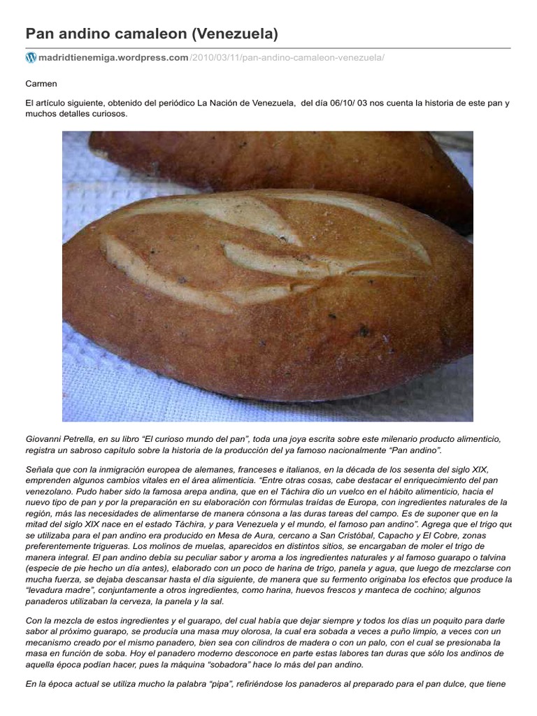 Historia y receta del pan andino venezolano | PDF | Panes | Trigo