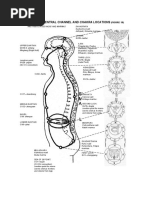 Marma Points & Chakras | PDF