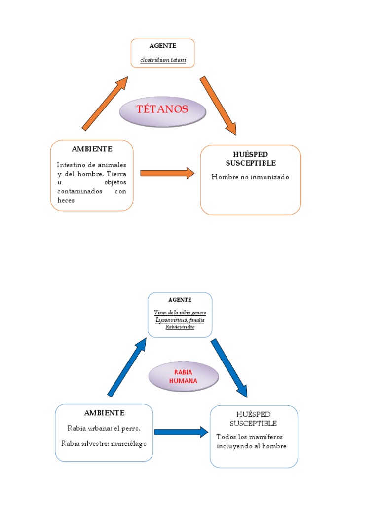 triada epidemiologica | Rabia | Cáncer | Prueba gratuita de 30 días ...