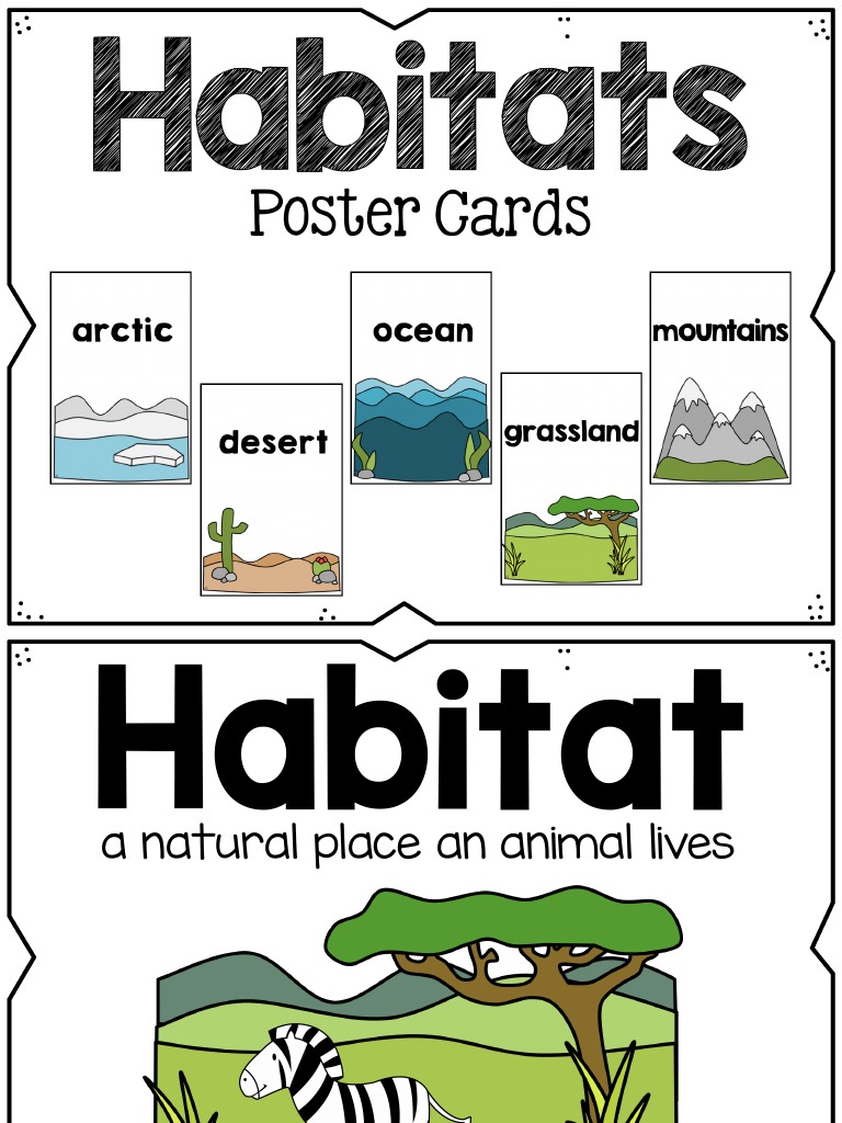 Habitats: Poster Cards | PDF | Physical Geography | Ecology