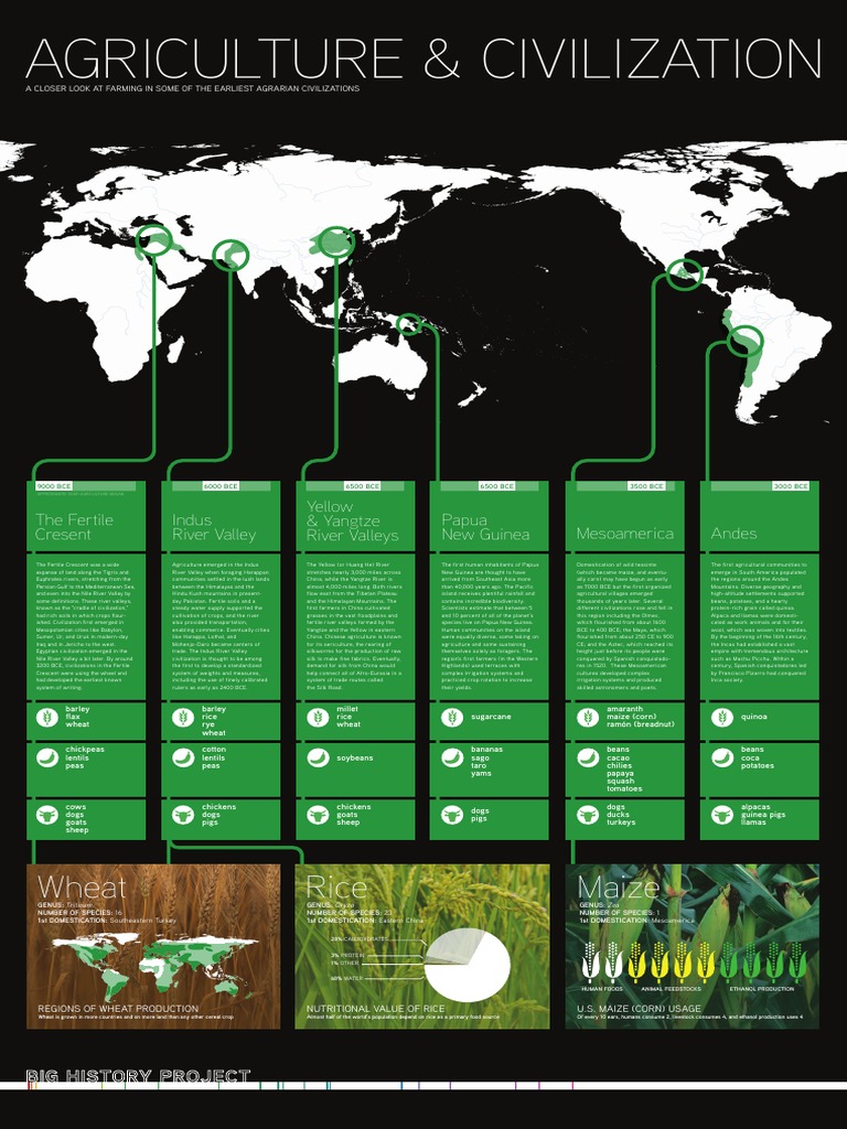 Agriculture and Civilization Infographic PDF | PDF | Maize | Civilization