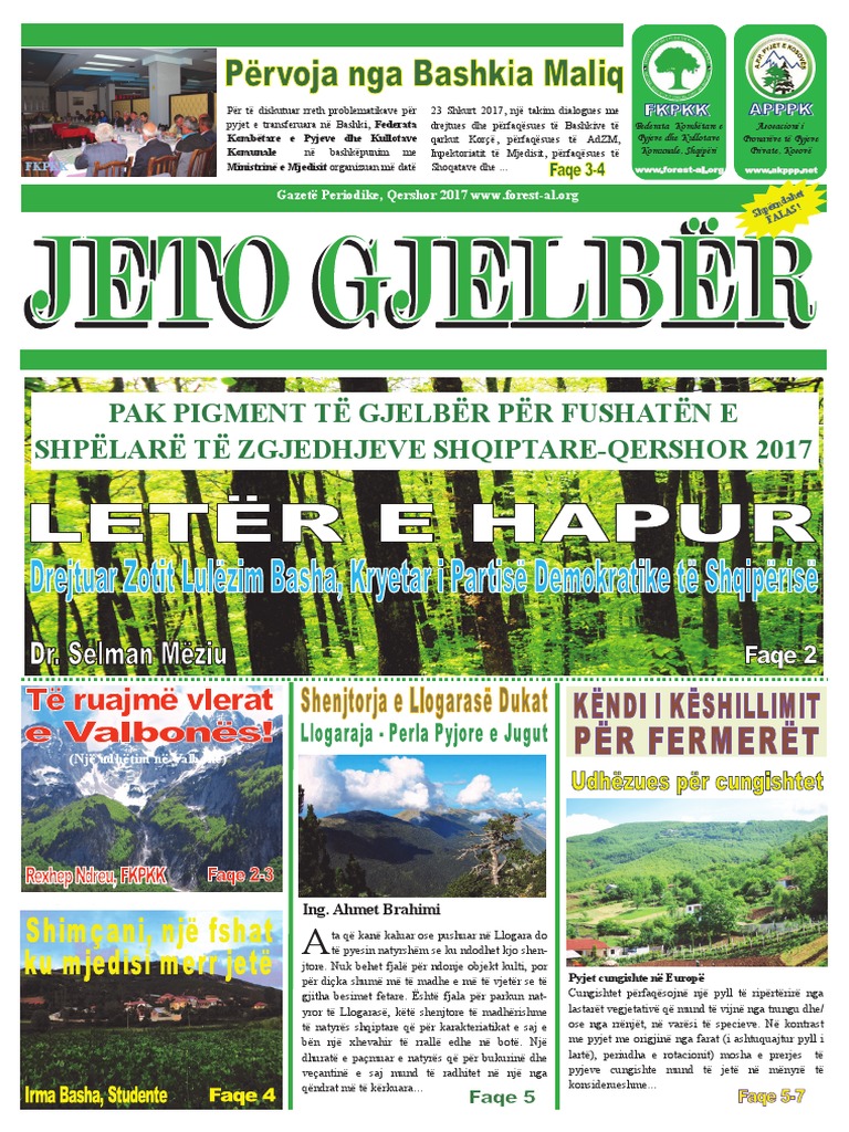 Gazeta Qershor 2017 - Final | PDF