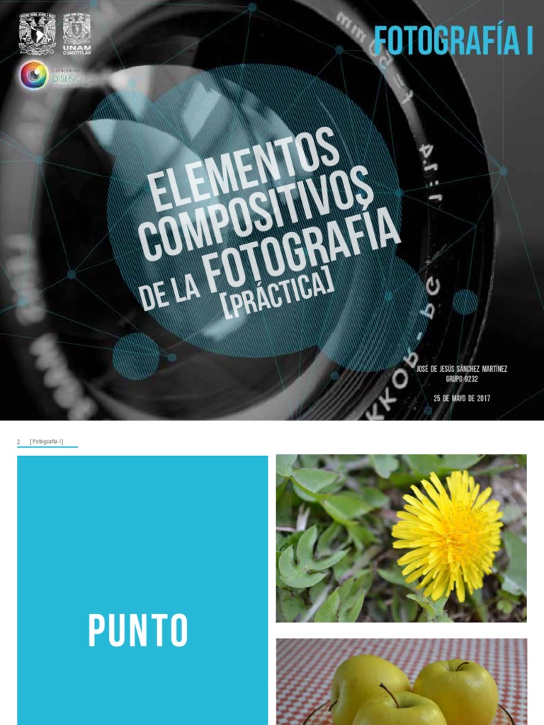 Elementos Compositivos de La Fotografía | PDF | Composición (artes ...