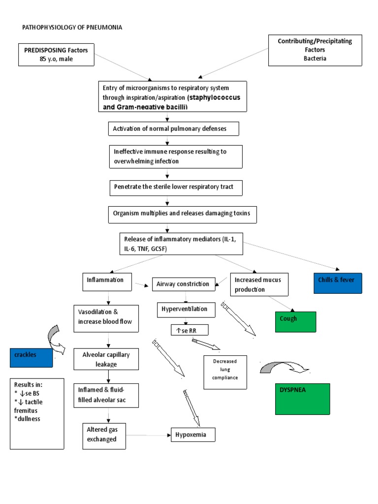 Pathophysiology of Pneumonia | PDF