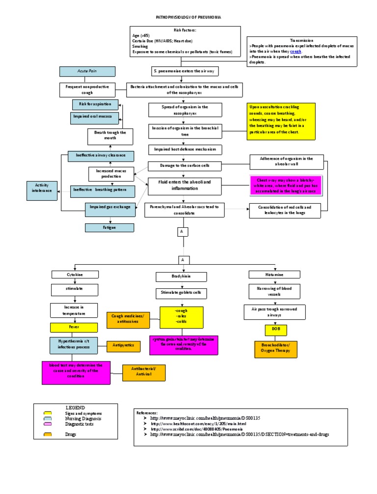 119227231-Pathophysiology-of-Pneumonia.docx | Pneumonia | Cough | Free ...
