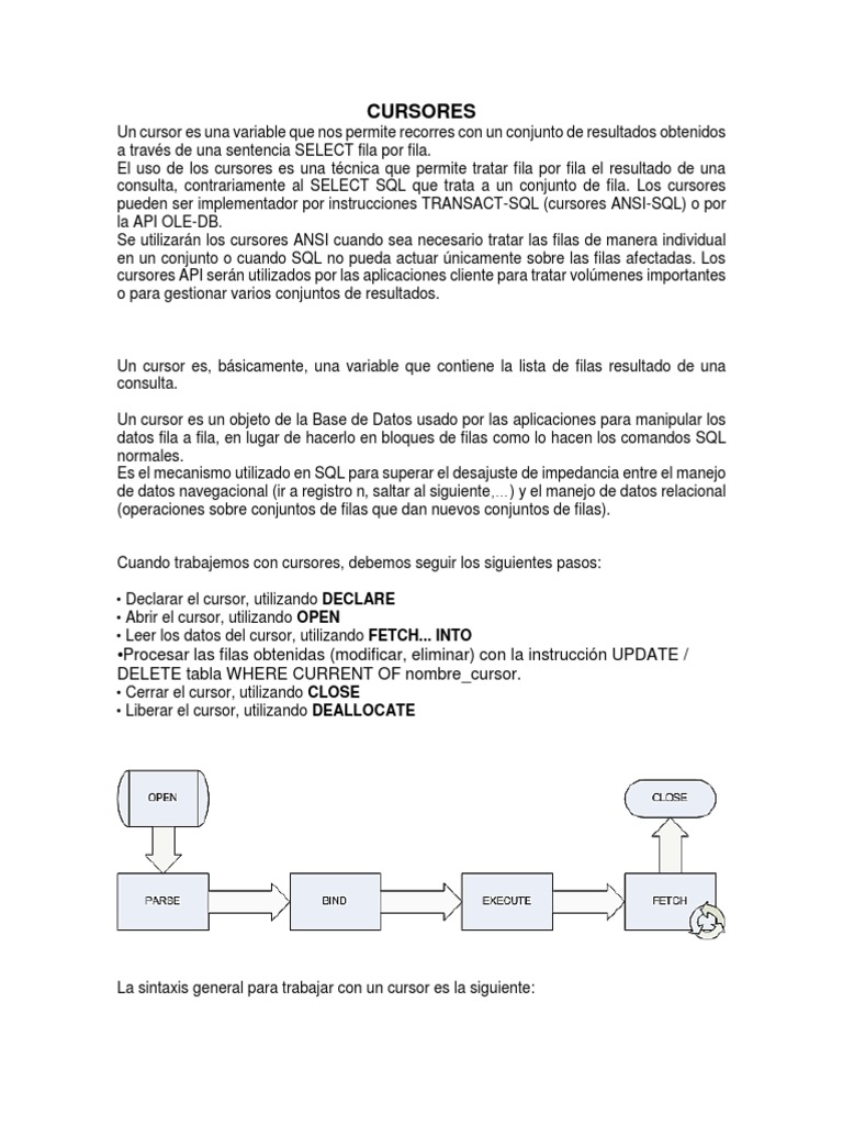Guía de Cursores en SQL | PDF | SQL | Datos de computadora