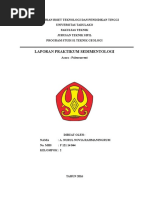 Foliasi and Non Foliasi | PDF