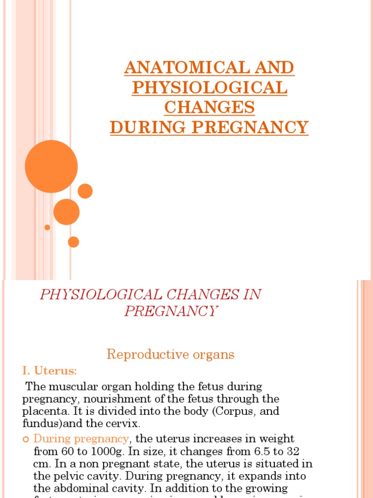Anatomical and Physiological Changes During Pregnancy | PDF | Uterus ...