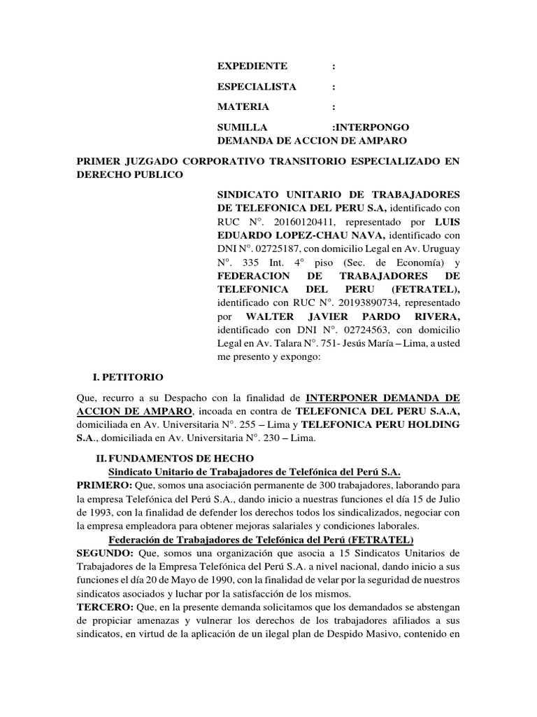 Demanda de Accion de Amparo | PDF | Derecho Constitucional | Derechos
