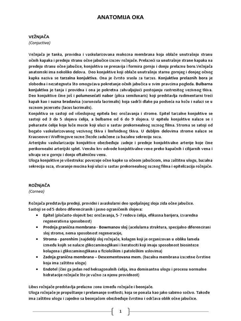 Oftalmologija - Anatomija Oka | PDF