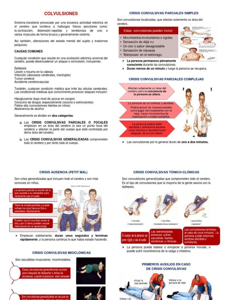 Folleto De Primeros Auxilios En Caso De Convulsiones