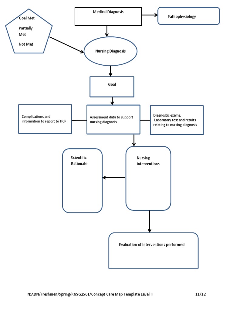 Concept Care Map Template Level II | PDF
