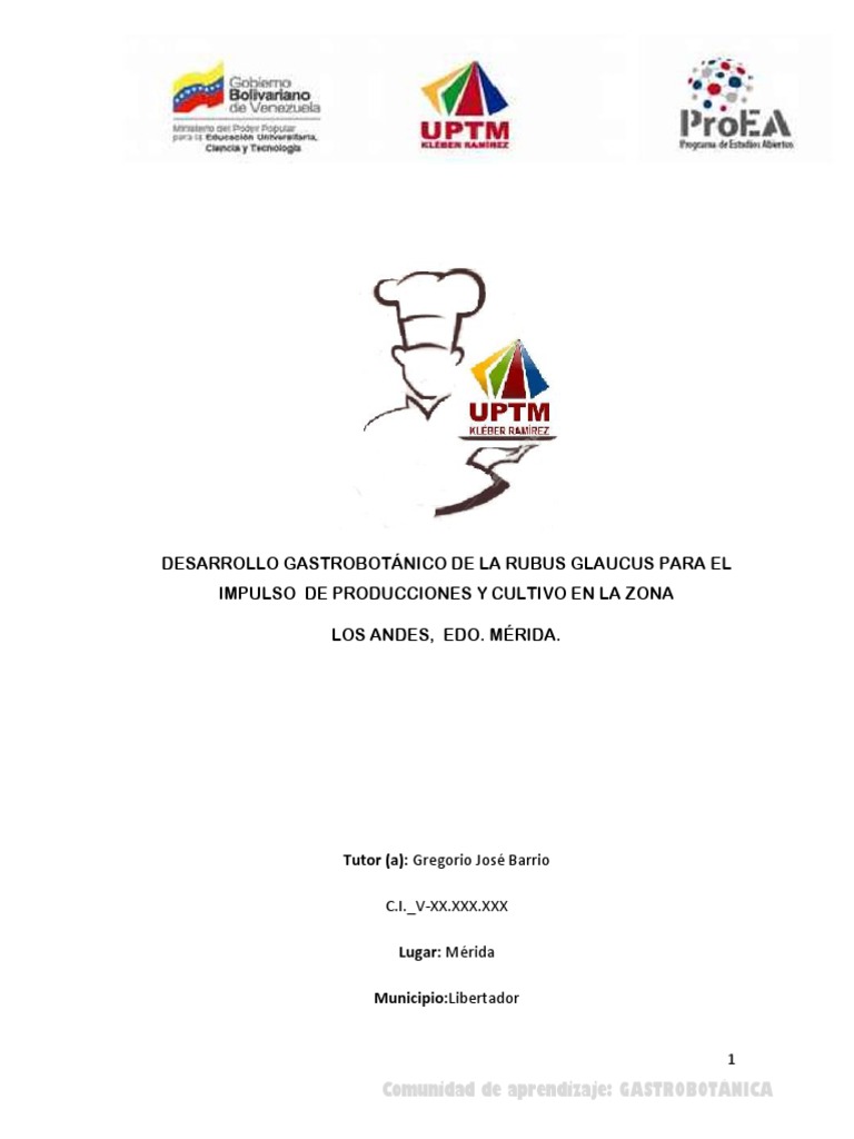Proyecto de Gastronomia para El Blogeer | PDF | Gastronomía | Venezuela