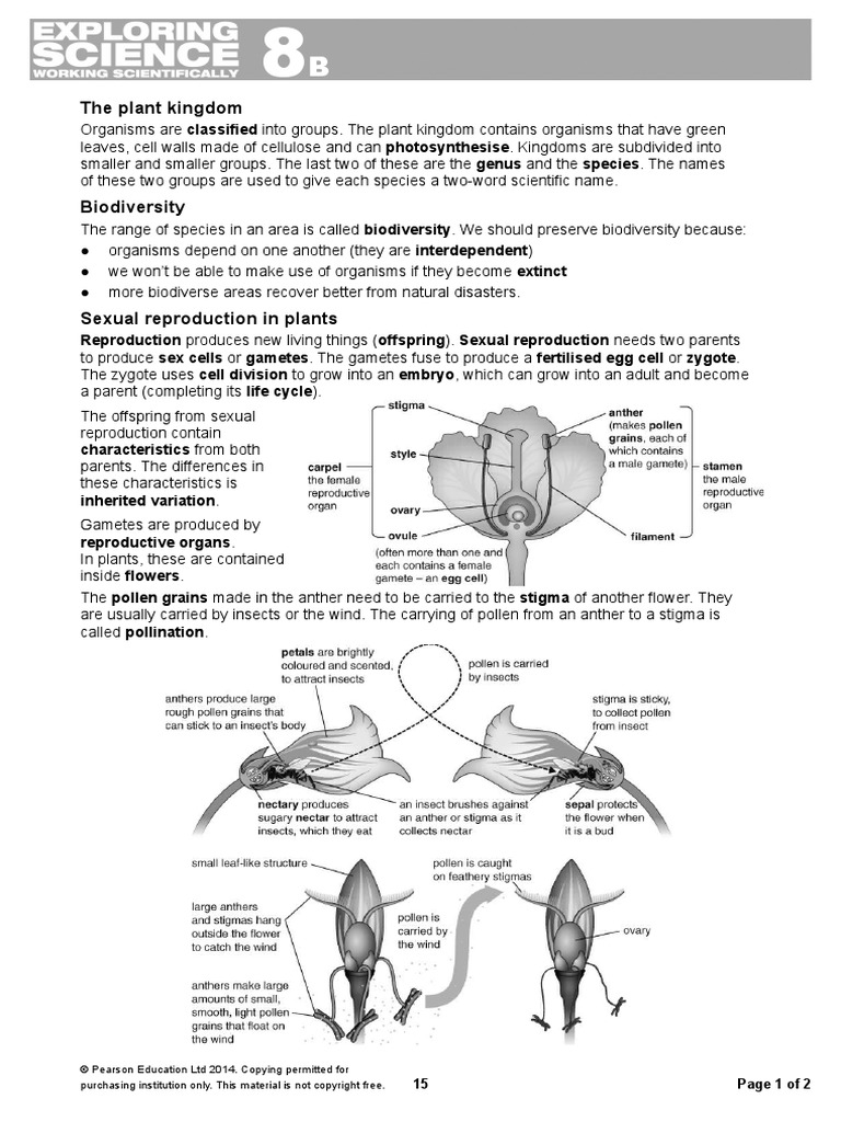 8b Summary Sheets | PDF | Sexual Reproduction | Seed