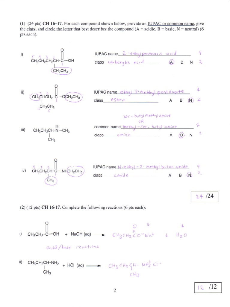 Organic Chemistry Worksheet | PDF | Carbohydrates | Atoms