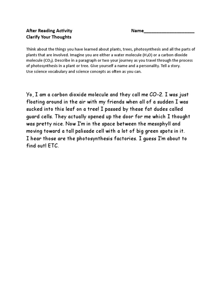 After Reading Activity Clarifythoughts | PDF