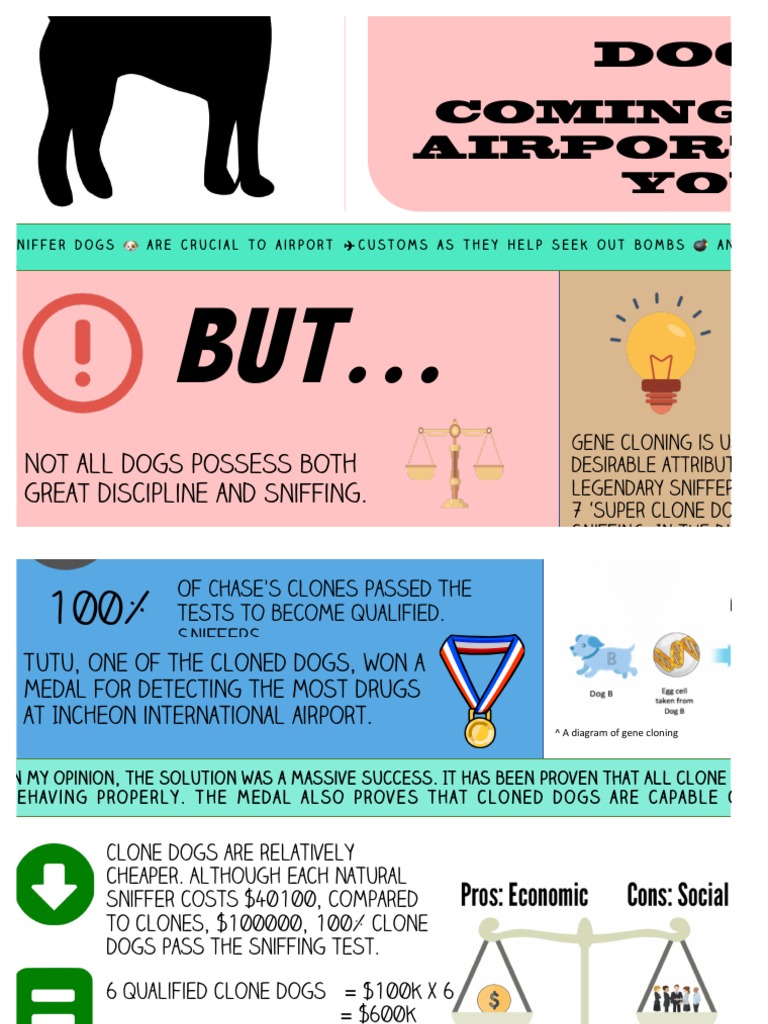 poster a3 | Dogs | Earth & Life Sciences