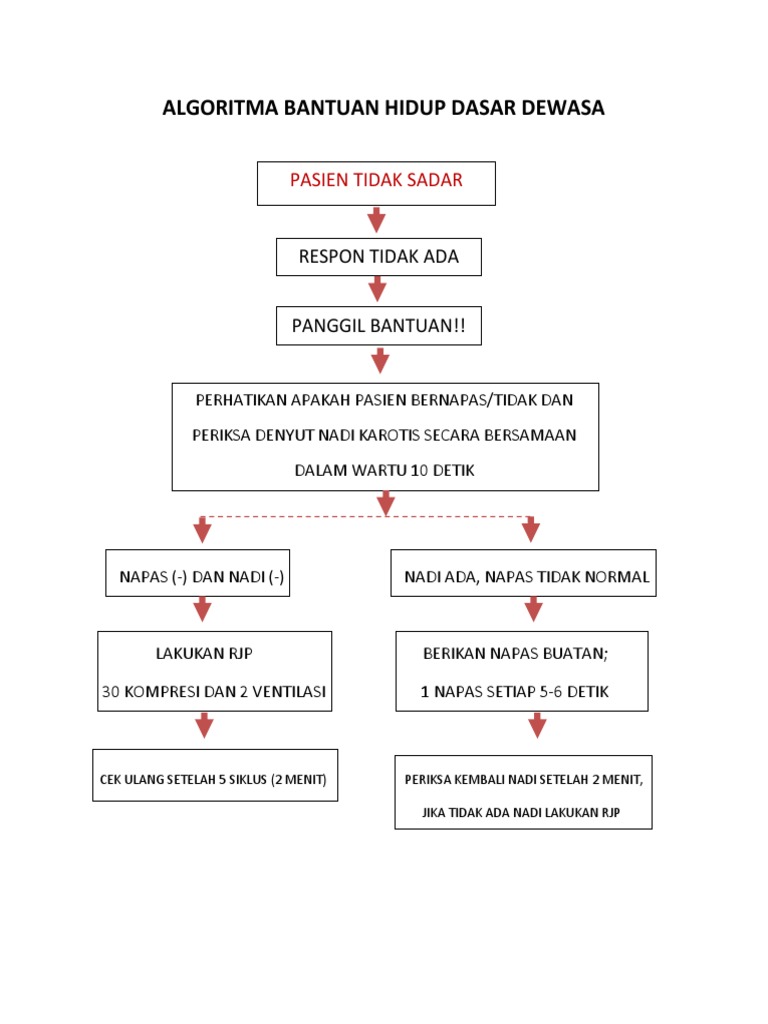 Algoritma Bantuan Hidup Dasar Dewasa | PDF