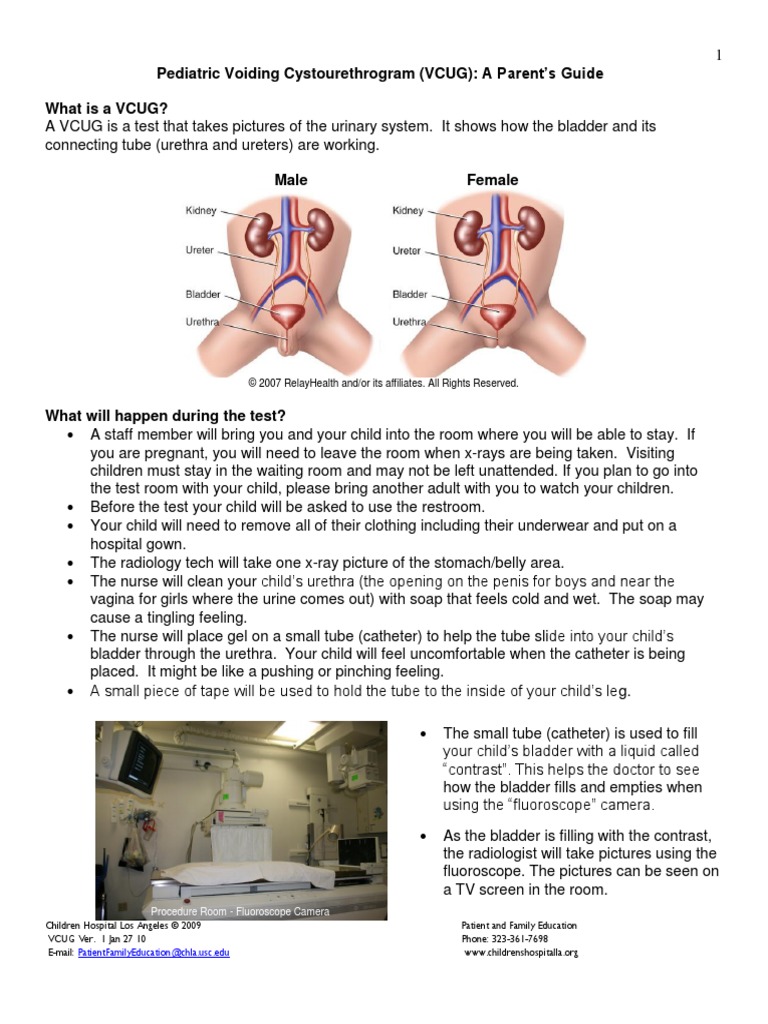 VCUG Parent Resource Revised 1-27-10 | PDF | Urinary Bladder | Urology