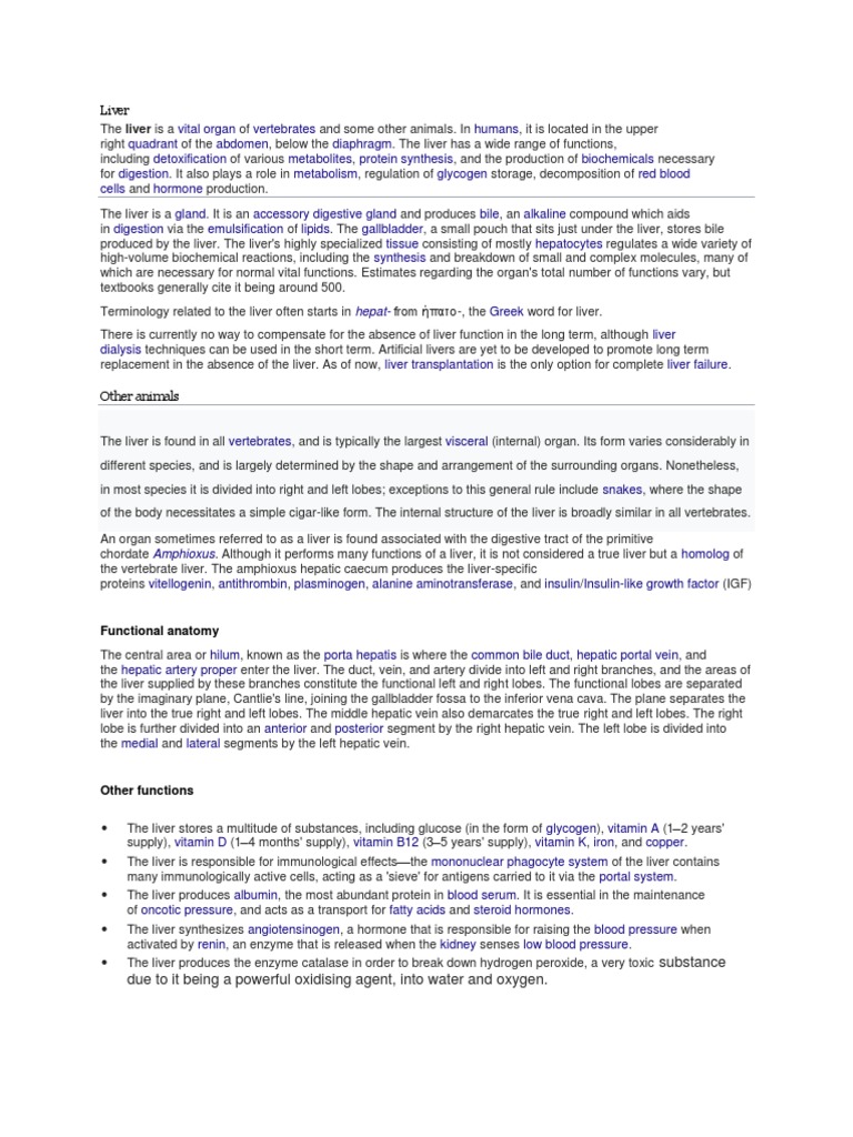 Liver | PDF | Liver | Organ (Anatomy)