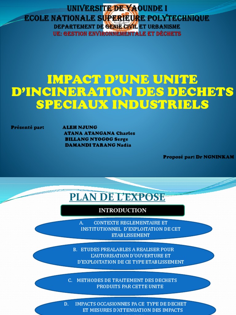 Incinération des Déchets Spéciaux au Cameroun | PDF | Assainissement ...