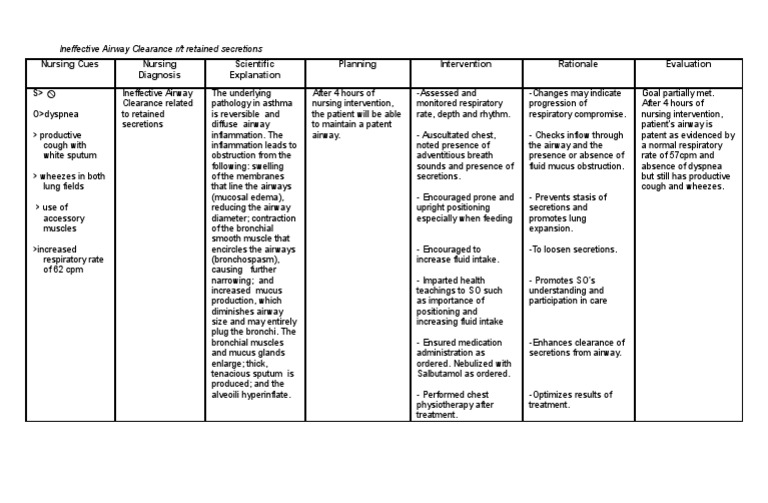 BAIAE-NCP | Respiratory Tract | Respiratory System